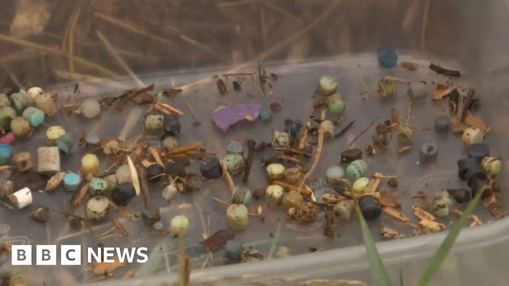 South West Water to take action over 'bio-beads' - BBC News