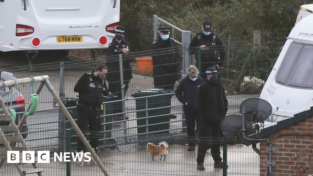 Dogs seized in 'illegal puppy sales' raid in Brighton - BBC News