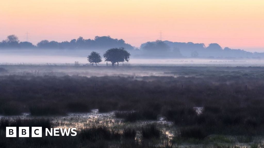 Wicken Fen is UK's most 'species-rich area'
