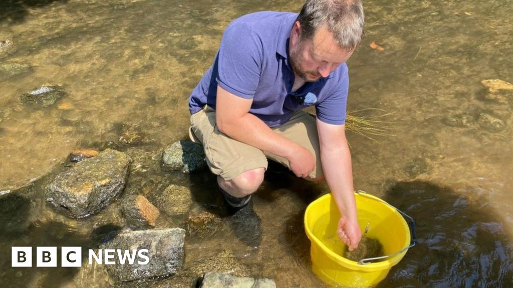 Rising temperatures a threat to Norfolk rare river species