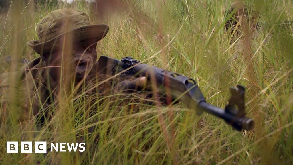 Letter from Africa: Game rangers in danger - BBC News