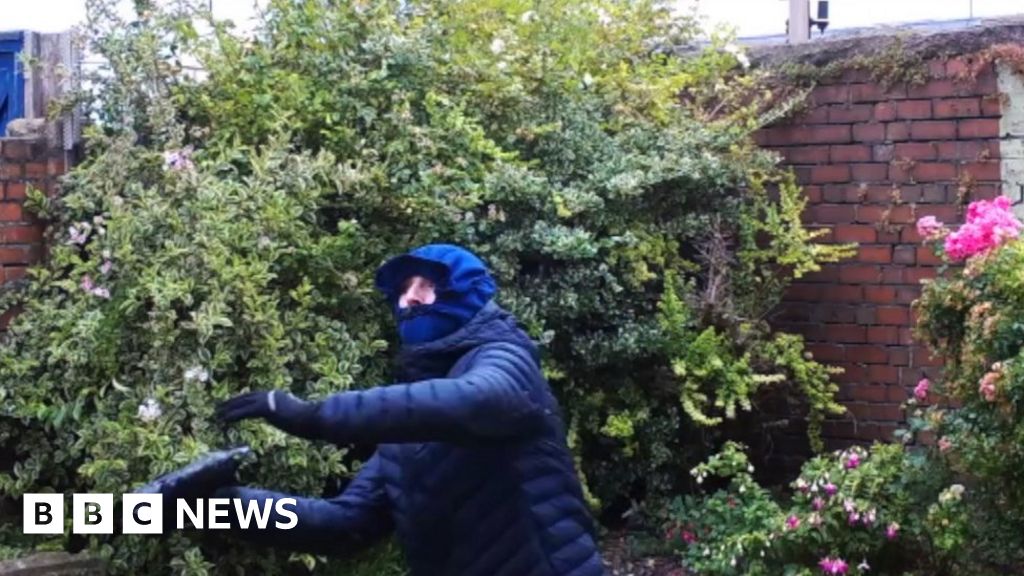 Bristol Prison: Throwing items over jail wall 'deeply disturbing' - BBC ...