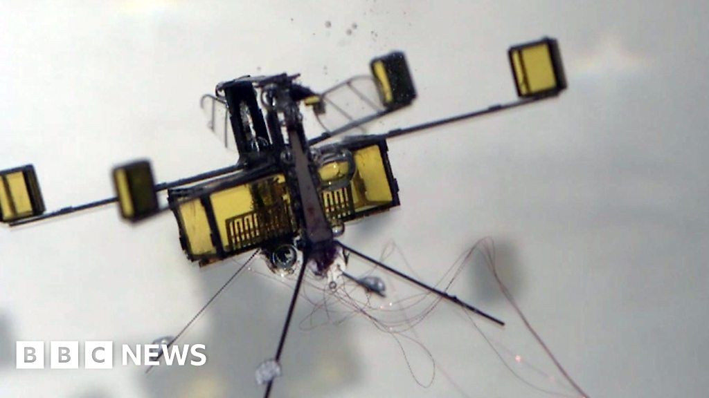 The robot that can swim and fly and other tech news - BBC News