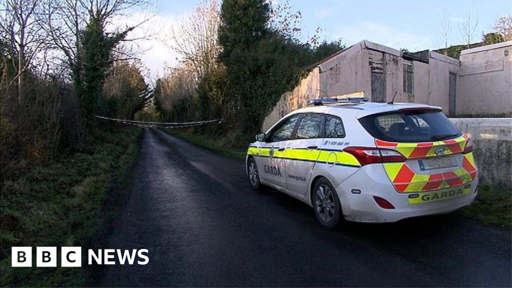 Two men arrested in connection with Roscommon house attack