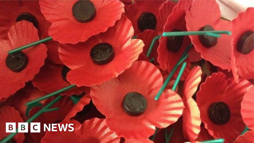 'Urgent' plea for Cumbria poppy appeal volunteers