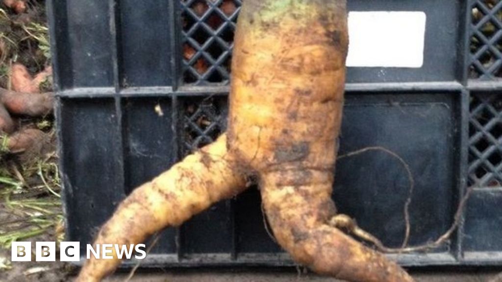 Would you turn down a wonky vegetable? - BBC News