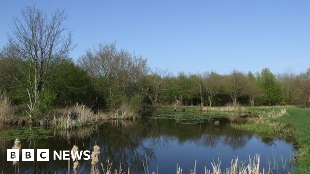 Girl, 14, dies after falling in Widnes pond - BBC News