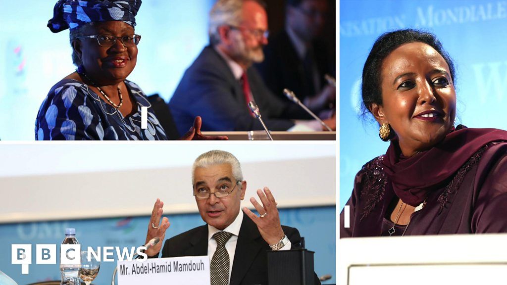 World Trade Organization: Could there be an African director-general ...