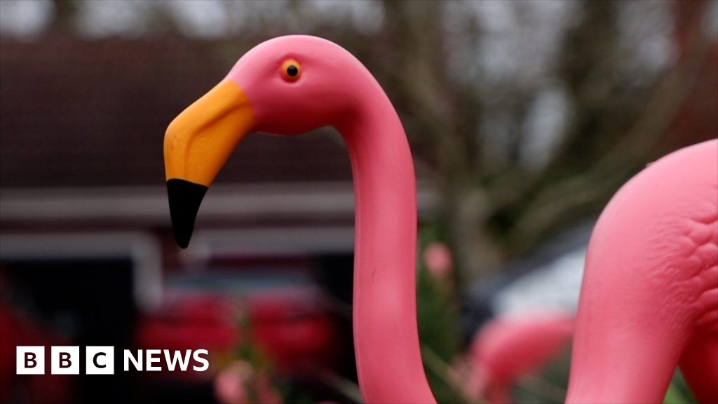 'You've Been Flocked': Plastic flamingos appear in Yate gardens