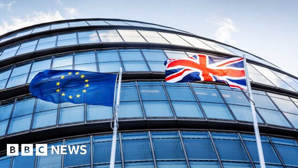 Brexit: DUP member speaks out over party's policy - BBC News