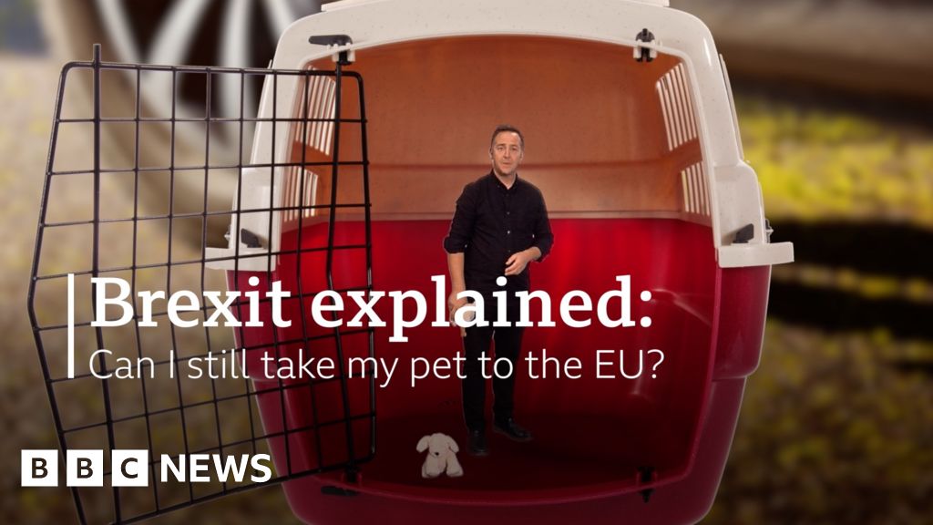 Brexit explained: Can I still take my pet to the EU? - BBC News