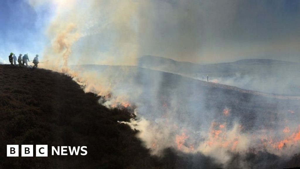 Crews tackle 'out of control' gorse fire at Druidale