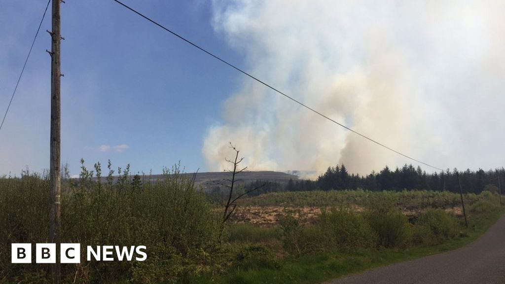 Tyrone moor on fire is habitat for hen harriers - BBC News