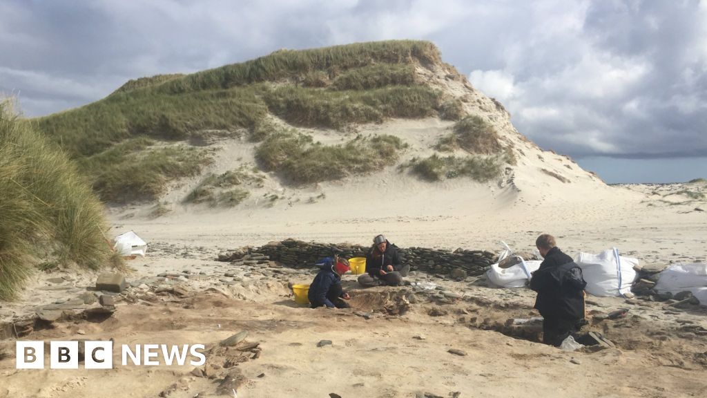 Neolithic dig unearths 19th Century whale pits - BBC News