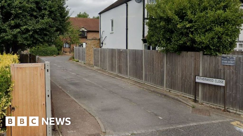 Woman killed in Wimbledon house fire - BBC News