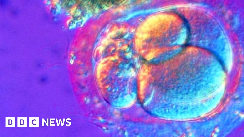 Scientists seek permission to genetically 'edit' embryos - BBC News