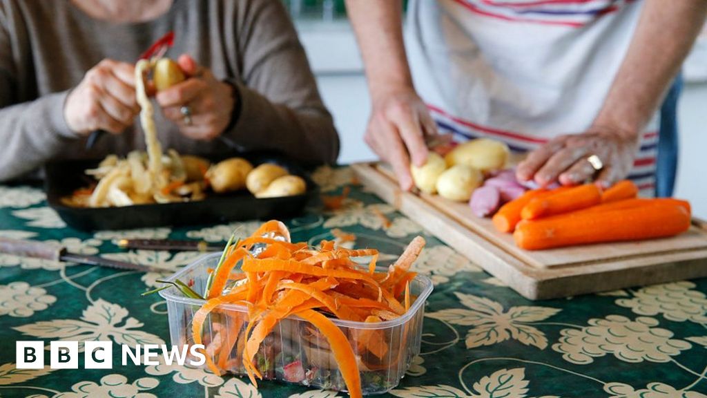 Microchips monitor food recycling by Denbighshire council