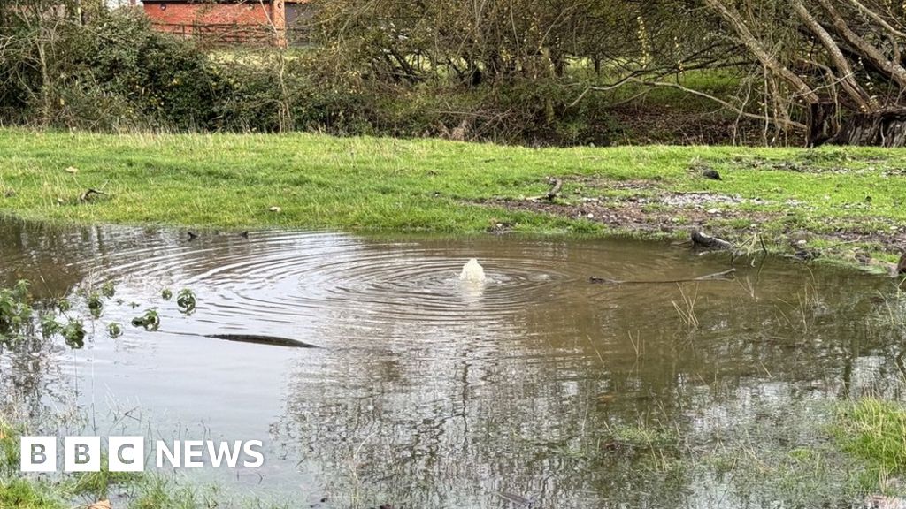 Lydd: Sewage floods homes after heavy rain - BBC News