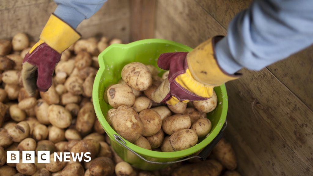 Wonky spud vodka couple eye export market