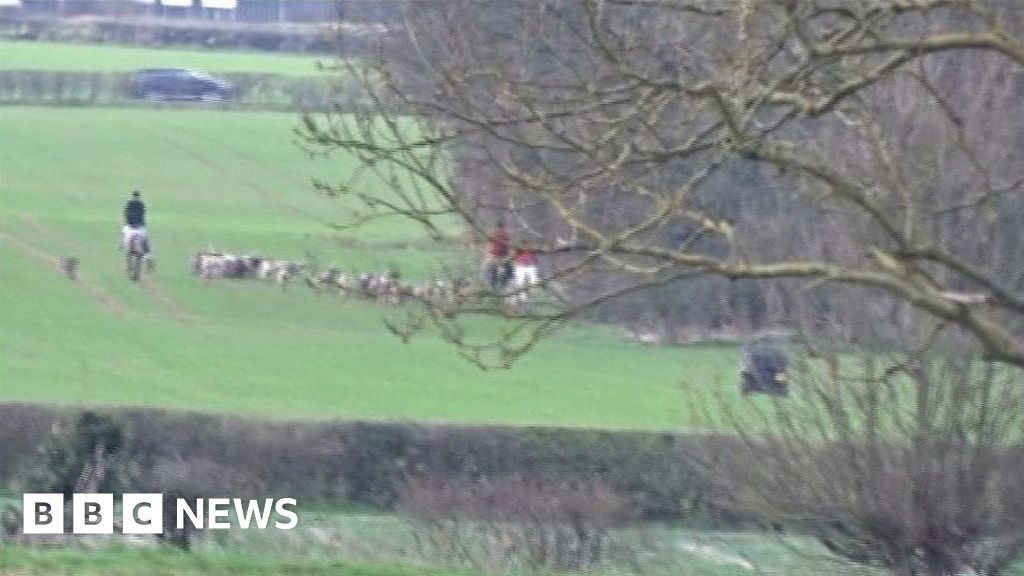 Birdwatchers capture illegal fox hunting in Nottinghamshire - BBC News