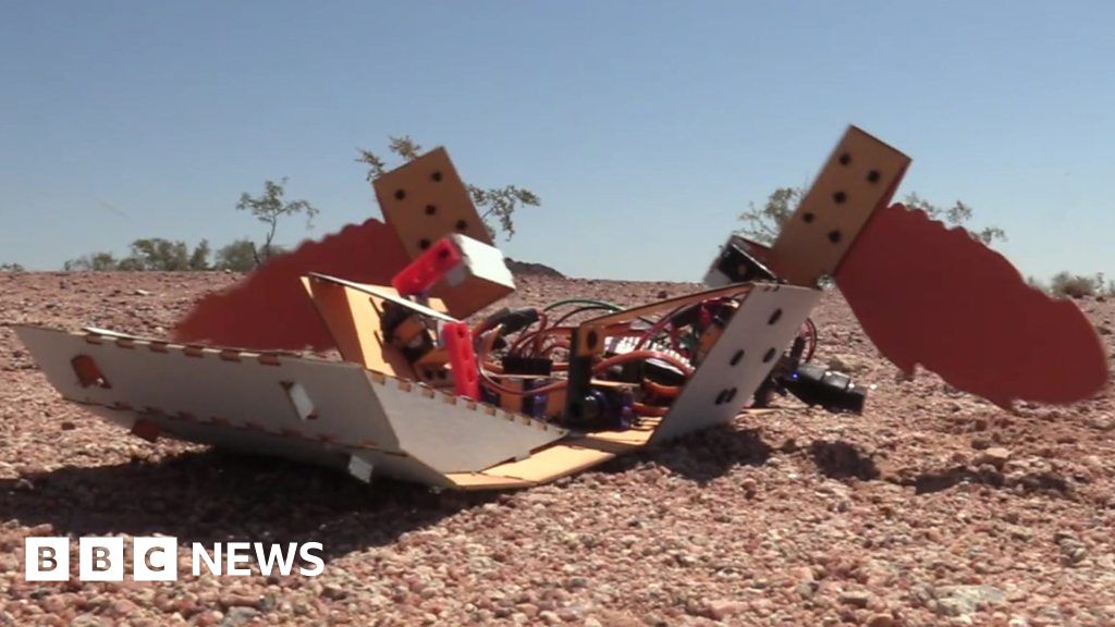 C-Turtle: The landmine-detecting robot 'turtle'