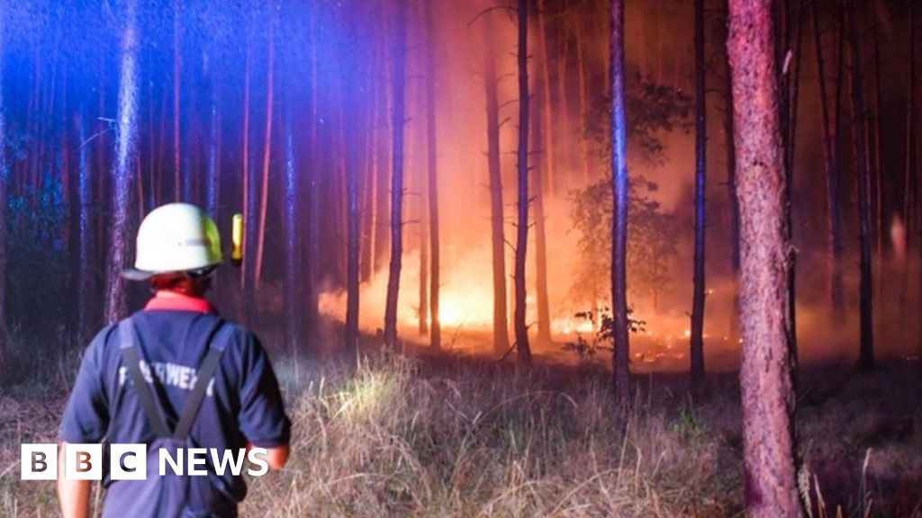 Germany fire: Firefighters battle huge Berlin forest blaze