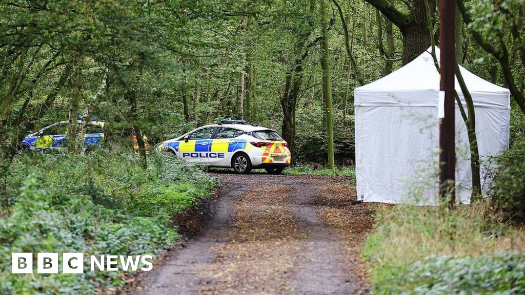 Joy Morgan murder case: Body find linked to student - BBC News