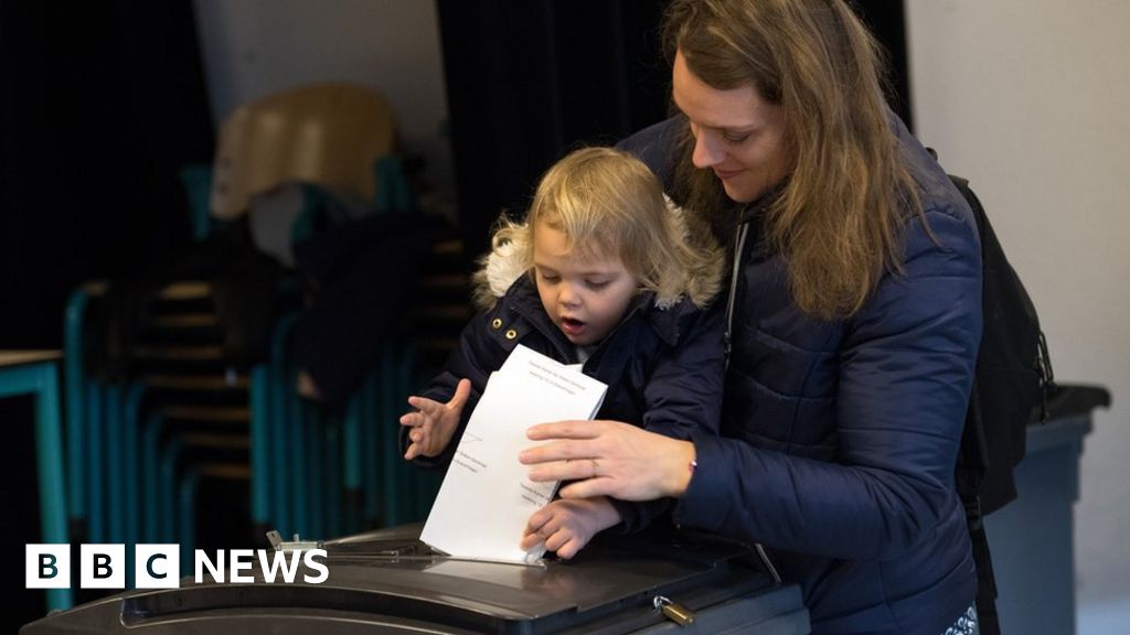 European parliament elections: The Brexit effect