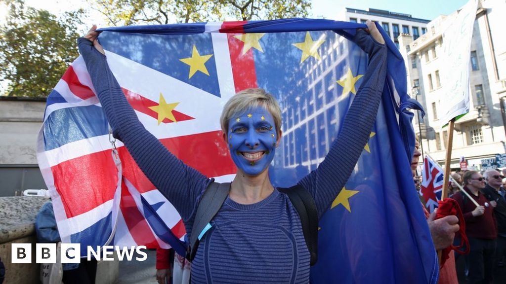 Brexit: A dilemma for the People's Vote campaign
