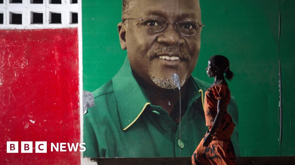 Tanzania's John Magufuli: Five challenges for the new president - BBC News