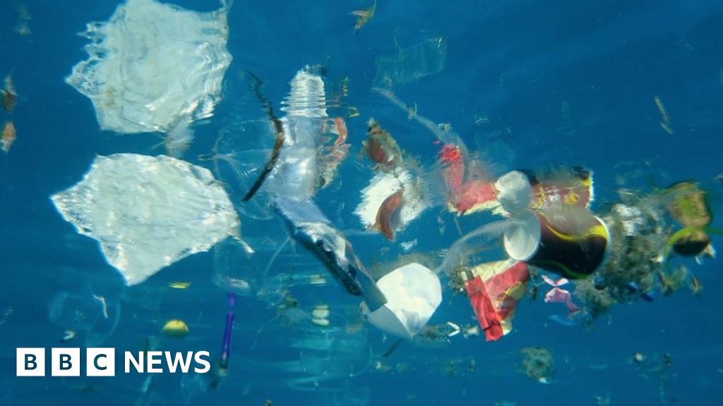 Plastic pollution: Turning the tide using seaweed - BBC News