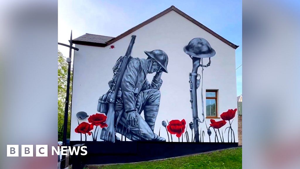 Abertillery: Remembrance Sunday mural created after campaign