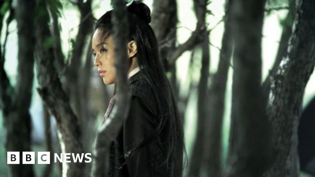 Assassin wins festival critics award - BBC News