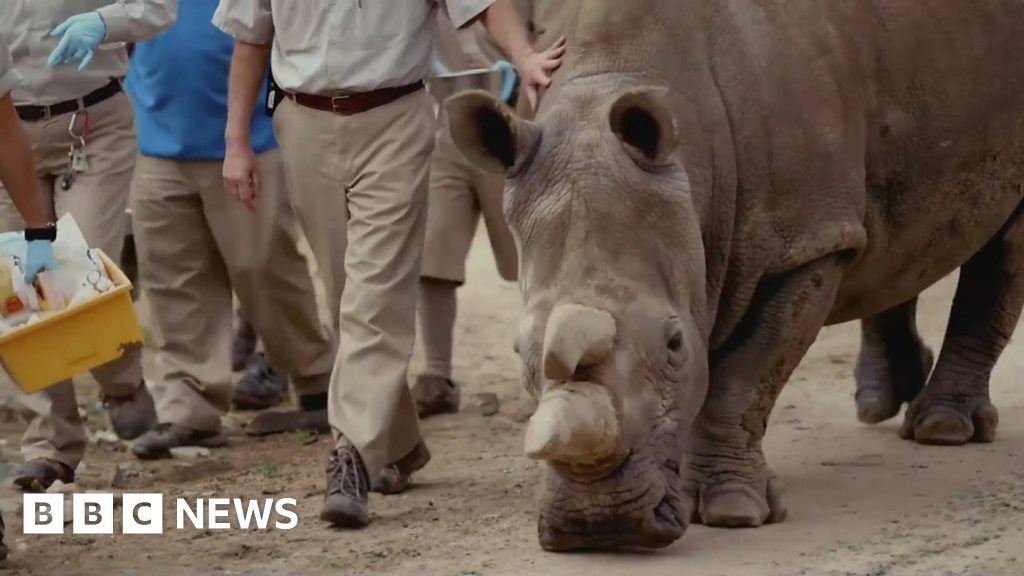 The Last Animals - fighting to save animals from extinction