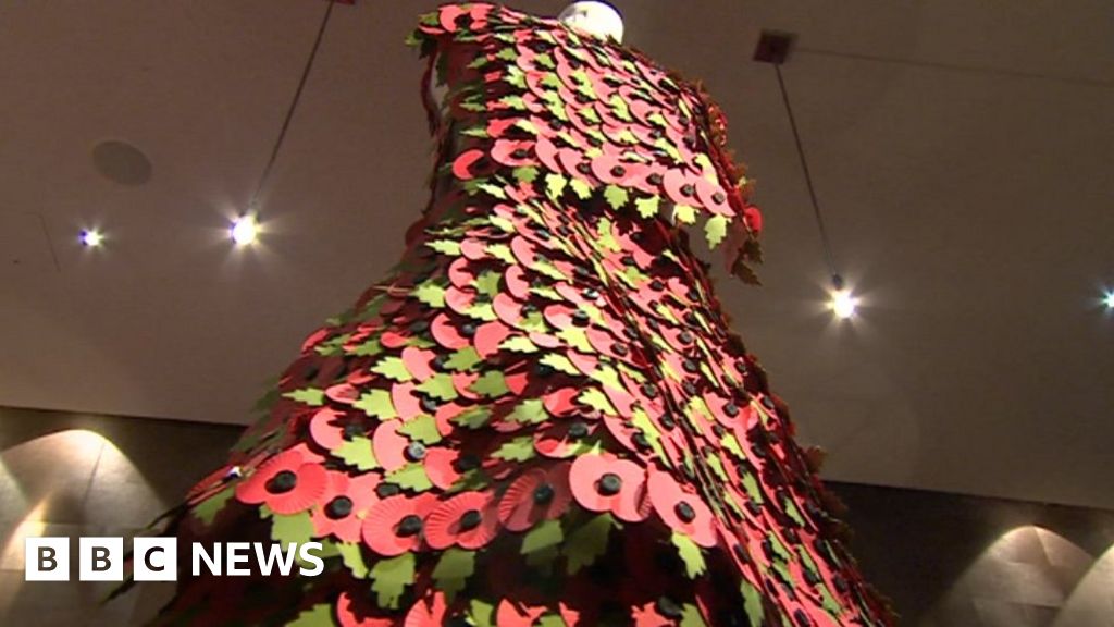 Charity dress made from 3,000 poppies - BBC News