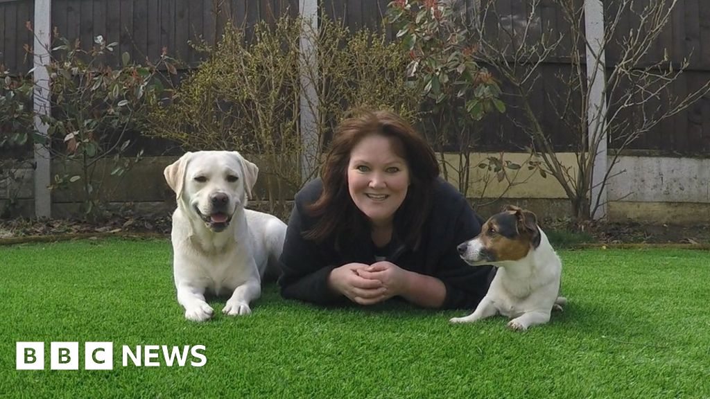 When is it not OK to pet a stranger's dog? - BBC News