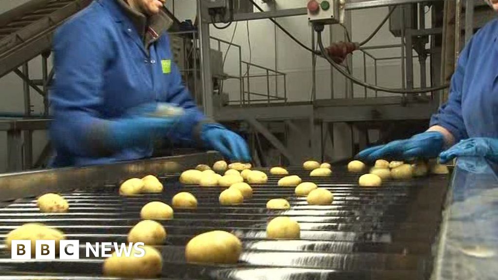 Industry report says Stormont should be allowed to decide on EU worker ...