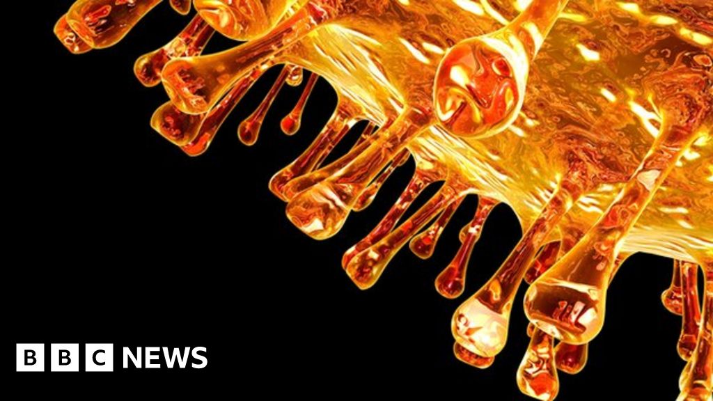 Universal flu vaccine comes closer, scientists say - BBC News