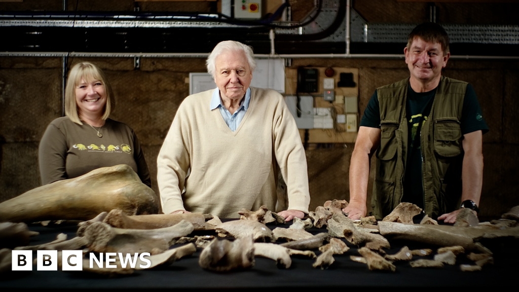 Mammoth graveyard: Fossil hunters describe thrill of discovery - BBC News