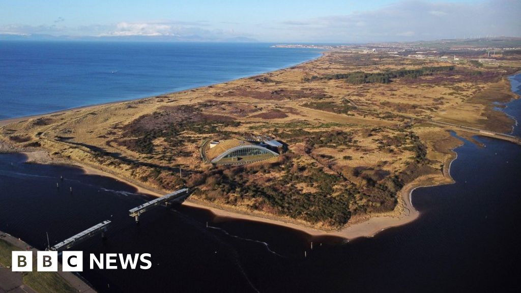 Ardeer peninsula: Call to protect abandoned wildlife haven - BBC News