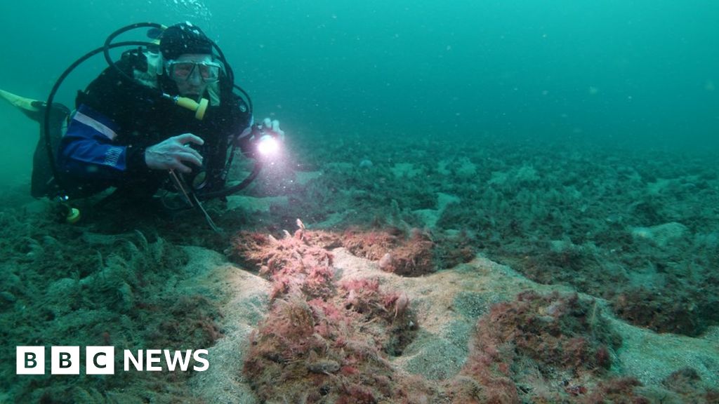 Dredger damaged Loch Carron reef secures protected status