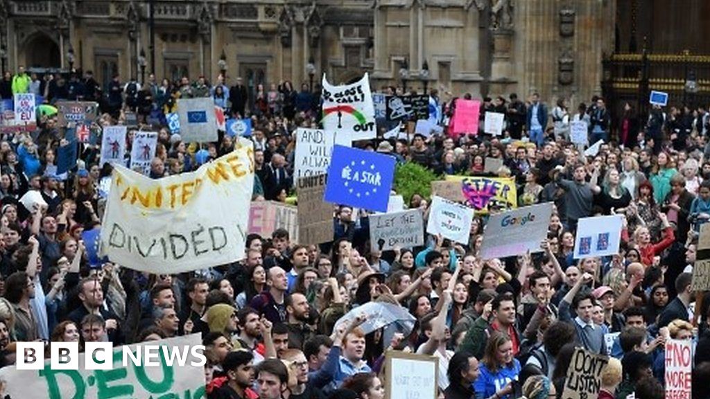 Brexit protesters hold Westminster rally - BBC News