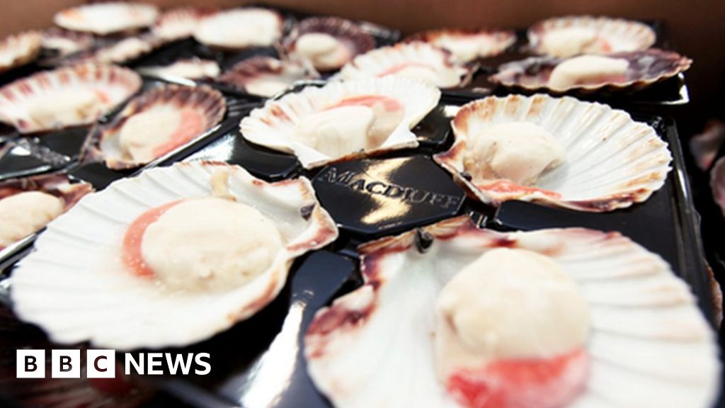 Canadian firm to buy Macduff Shellfish for £100m - BBC News