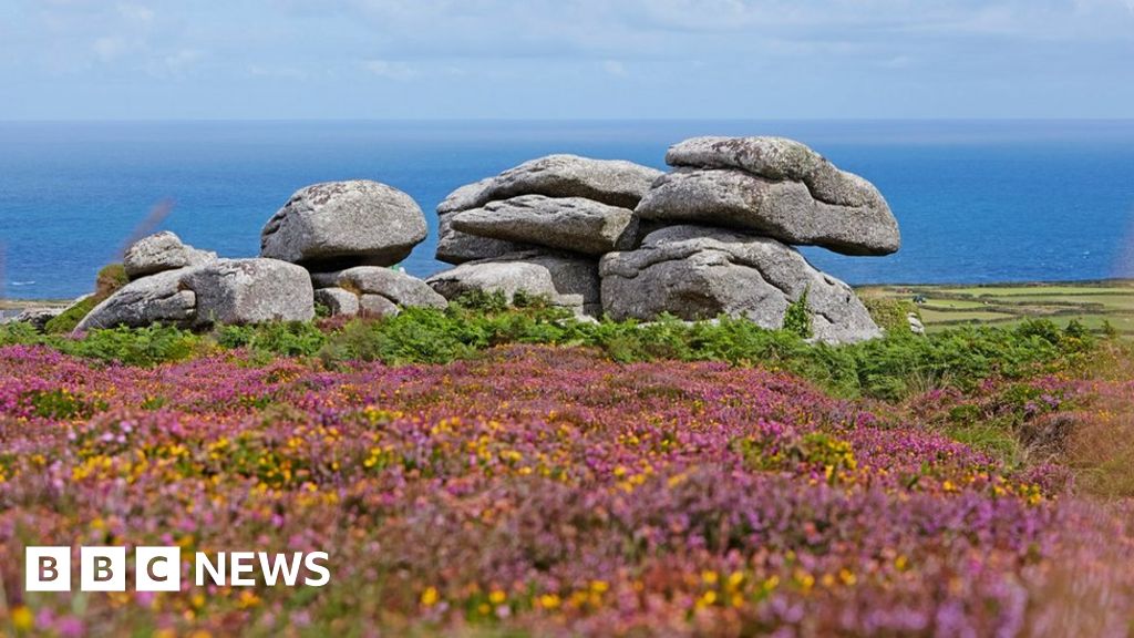 Cornwall moors SSSI plans 'will hit farmers' activities - BBC News