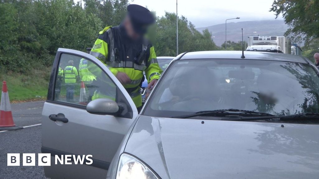Irish police hold EU workers at Dundalk border - BBC News
