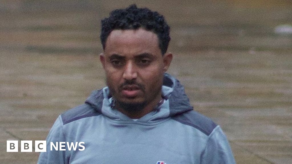 Driver who drove through gaggle of geese killing seven sentenced