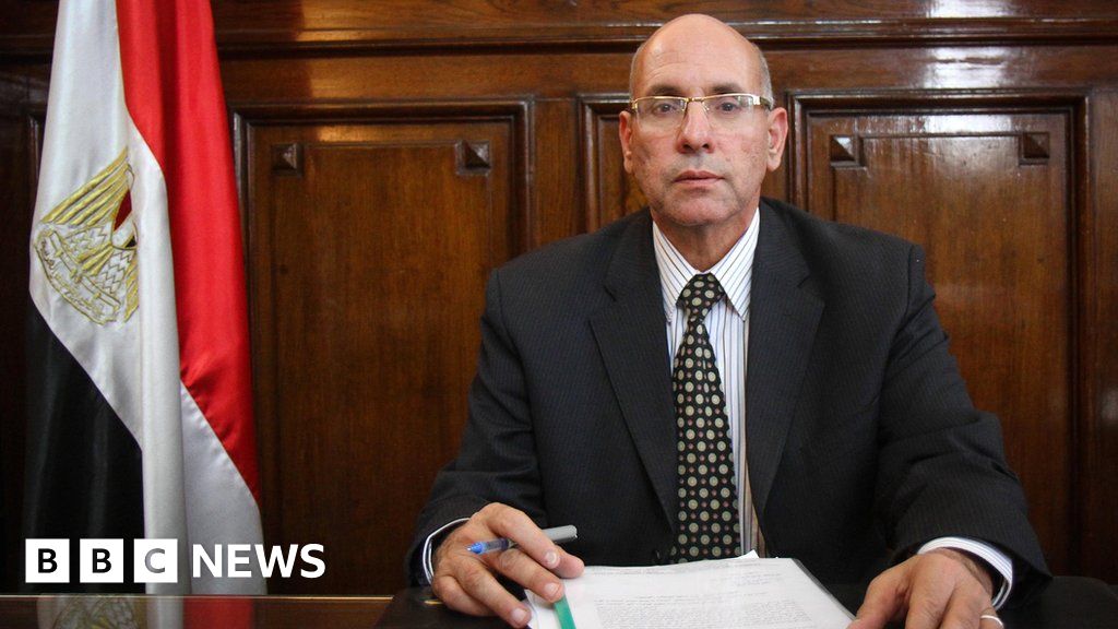Egypt agriculture minister held on corruption charges - BBC News
