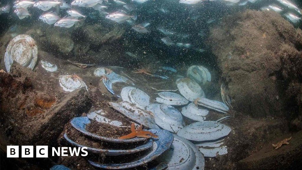 Kent shipwreck carrying rare cargo wins protection - BBC News