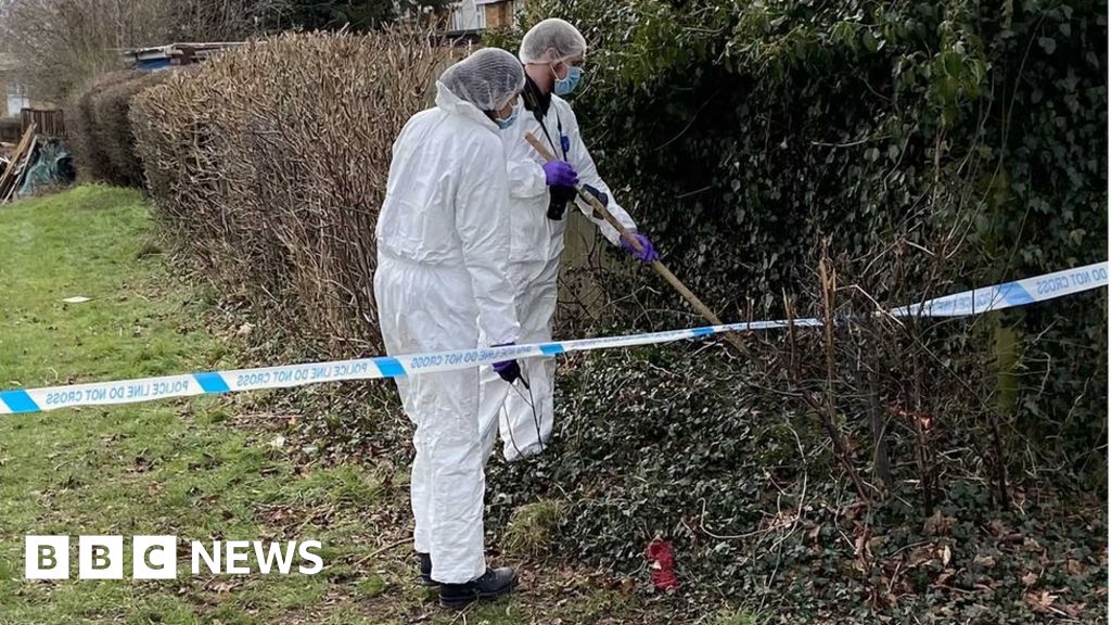 Stevenage stabbing: Boys aged 15 and 17 charged with man's murder - BBC ...