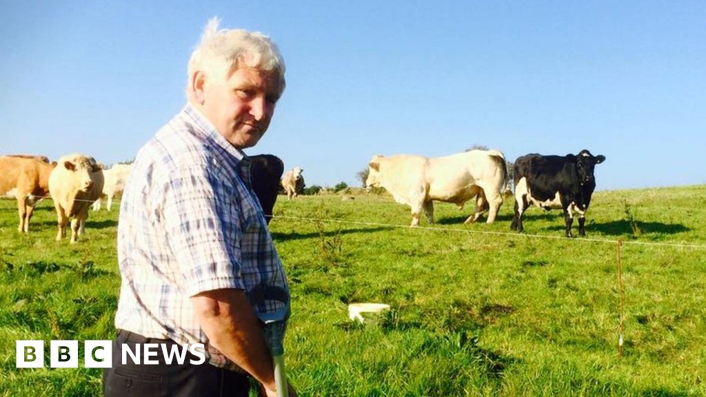 Newtownstewart farmer 'lucky to be alive' after tackling bull - BBC News